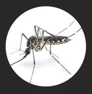 UTTP Users | Battle for Object Wars Wiki | Fandom