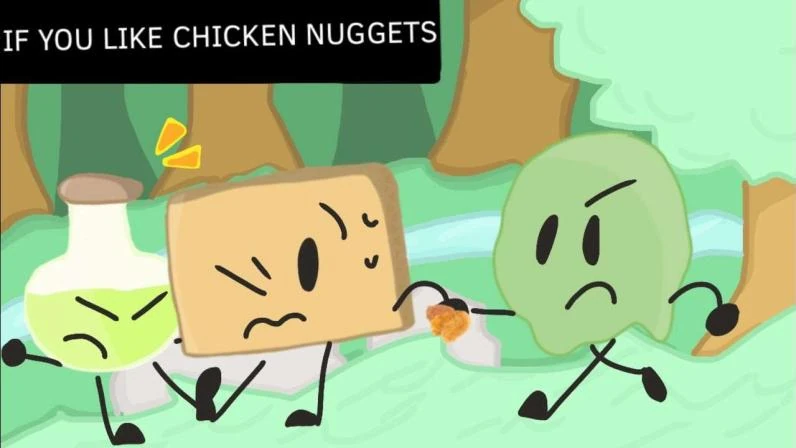 The Aftermath Of The Chicken Nugget Shower | Battle For Portal Wiki ...