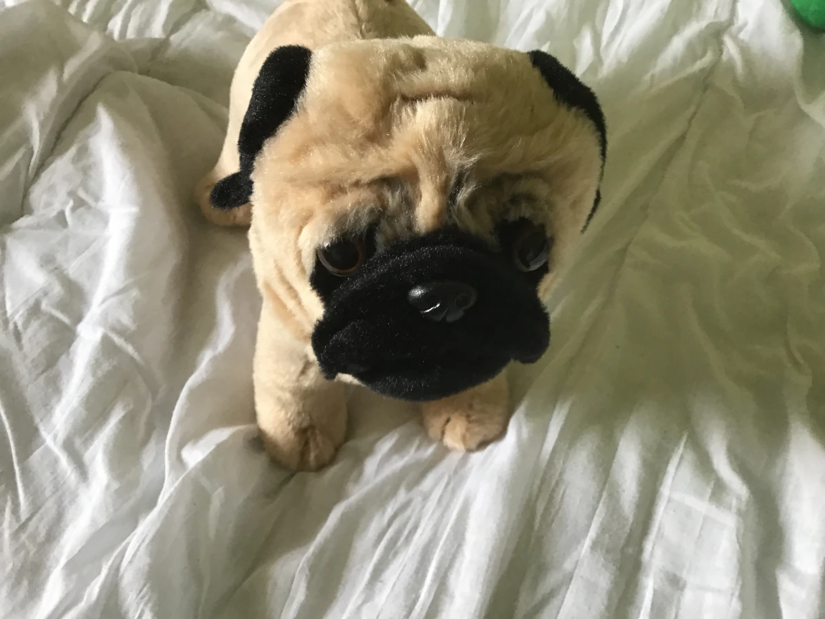 Professor Pug | Battle for PVZ Island and Battle for Plush Island Wiki ...