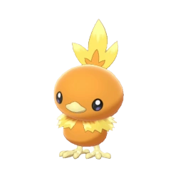 Torchic | Battle For Random Wiki | Fandom