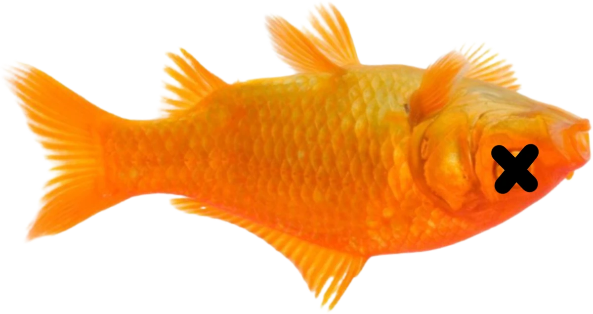 Fish | Battle For Something Wiki | Fandom