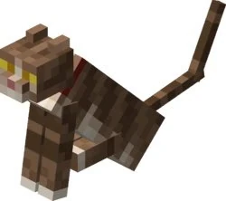 Minecraft Cat Face