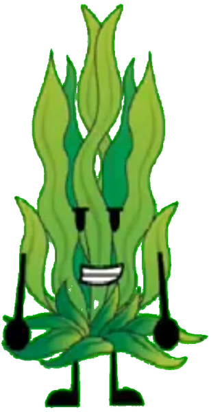 Seaweed | Battle insanity Wikia | Fandom