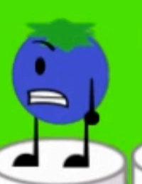Blueberry | Battle of Objects Wiki | Fandom