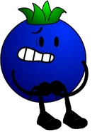 Blueberry | Battle of Objects Wiki | Fandom