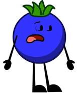 Blueberry | Battle of Objects Wiki | Fandom