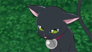 Okyou | Battle Spirits Wiki | Fandom