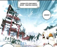 Xiao Clan | Battle Through the Heavens Wiki | Fandom
