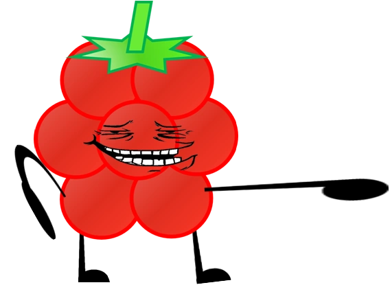 Raspberry | Battle to be KilleD Wiki | Fandom