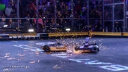 Predator | BattleBots Wiki | Fandom