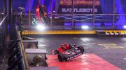 Bloodsport | BattleBots Wiki | Fandom