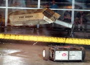 Hammers | BattleBots Wiki | Fandom