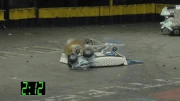 Disarray | BattleBots Wiki | Fandom