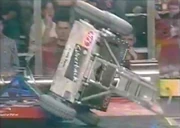 Silverback | BattleBots Wiki | Fandom