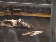 Falcon | BattleBots Wiki | Fandom