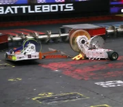 RIPperoni | BattleBots Wiki | Fandom