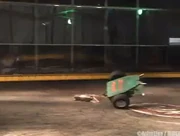 Falcon | BattleBots Wiki | Fandom