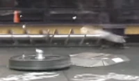 BABS | BattleBots Wiki | Fandom