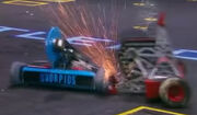 Skorpios | BattleBots Wiki | Fandom