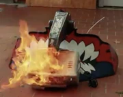 Petunia | BattleBots Wiki | Fandom