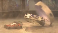 Fluffy DeLarge | BattleBots Wiki | Fandom