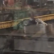 Bouncing Betty | BattleBots Wiki | Fandom