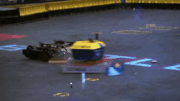 Icewave | BattleBots Wiki | Fandom