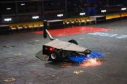 Beta | BattleBots Wiki | Fandom