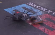 Black Widow | Battlebots Wiki | Fandom