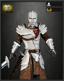 Heavy Infantry (Unit) | Battle Conquest Wiki | Fandom