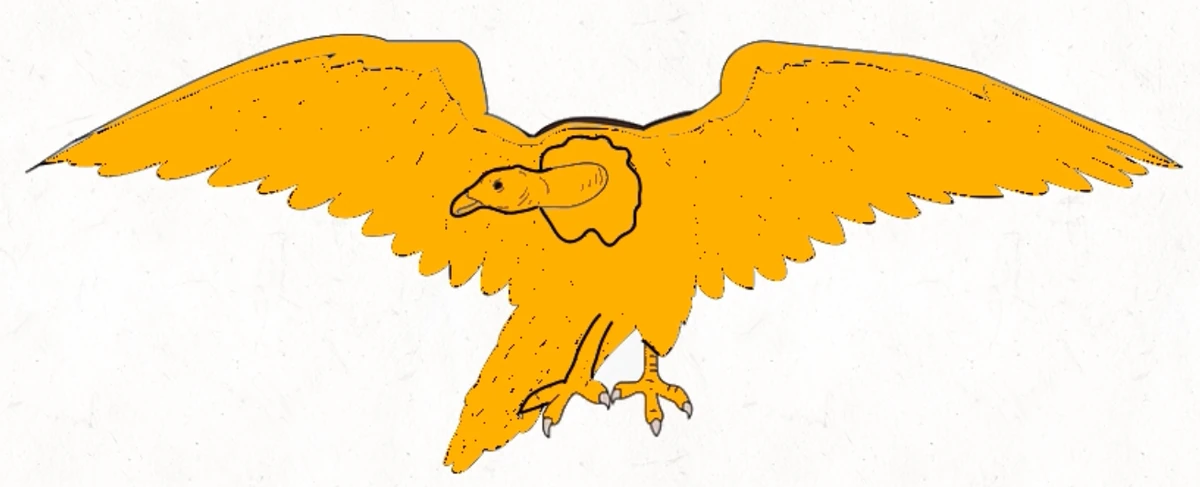 Andien Condor | Battlefield Fluffy Gardens Wiki | Fandom