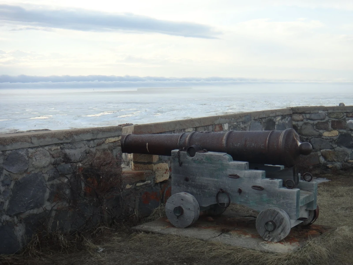 Cannon | Battlefield Wiki | Fandom