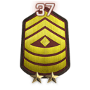 Battlefield 4 online ranks | Battlefield Wiki | Fandom