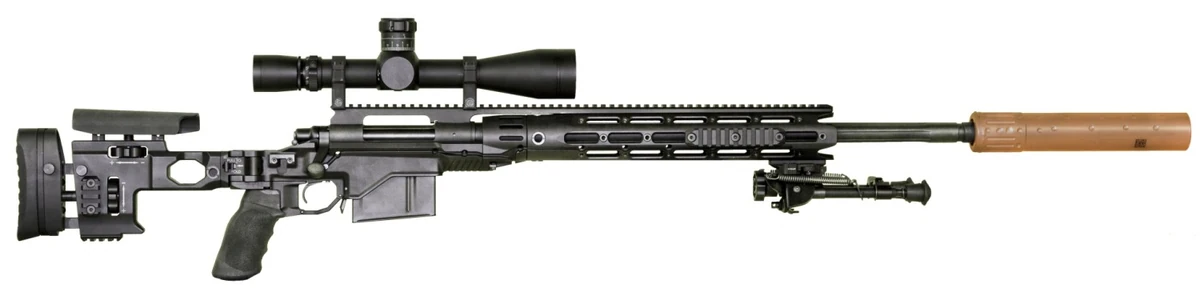 M2010 ESR | Battlefield Wiki | Fandom