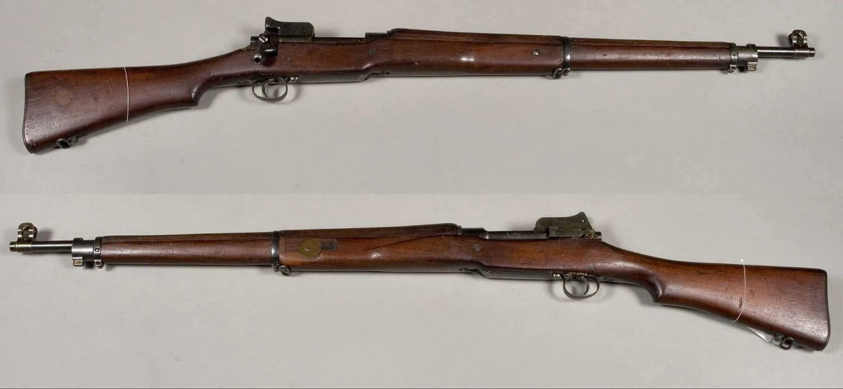 Pattern 1914 Enfield | Battlefield Wiki | Fandom