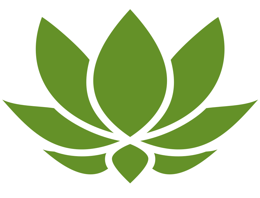 Pan-Asian Coalition | Battlefield Wiki | Fandom