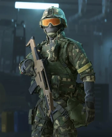 Battlefield 4 Assault Class Weapons