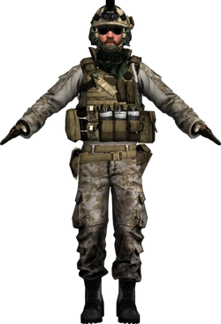 Battlefield 3 Assault Class