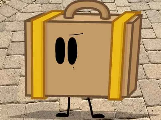 Suitcase | BattleForBfdiClubPedia Wiki | Fandom