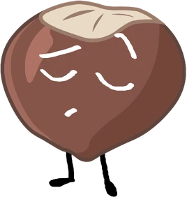 Chestnut | Battle for Dream Island Wiki | Fandom