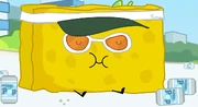 Spongy/Coverage | Battle for Dream Island Wiki | Fandom