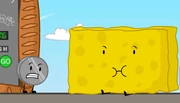 Spongy | Battle for Dream Island Wiki | Fandom