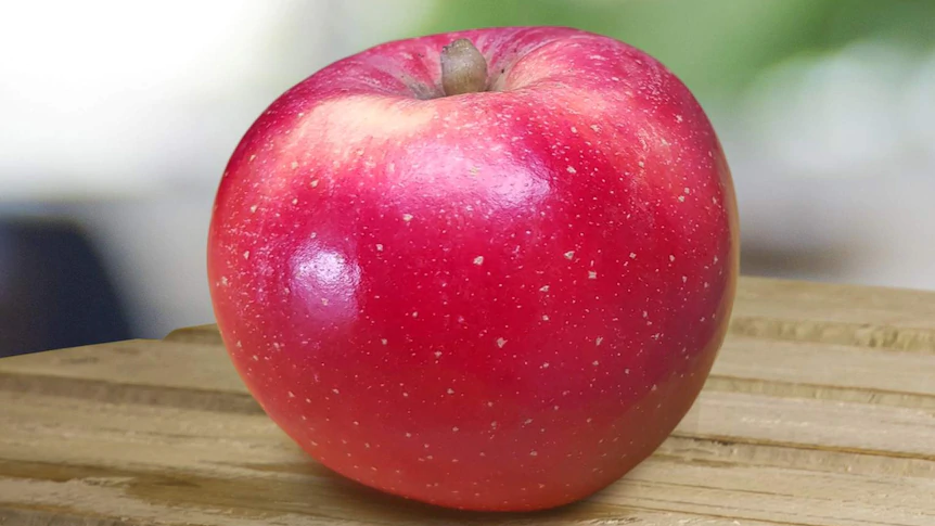 User blog:Limeyboyisthebest/Apple Dude | Battle for Dream Island Wiki ...