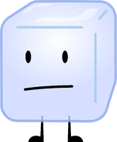 List of appearance character changes | Battle for Dream Island Wiki ...