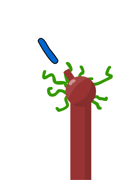 Creatures of Goiky Canal | Battle for Dream Island Wiki | Fandom