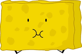 Spongy | Battle for Dream Island Wiki | Fandom