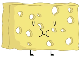 Variations of Spongy | Battle for Dream Island Wiki | Fandom