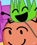 Basketball and Grassy | Battle for Dream Island Wiki | Fandom