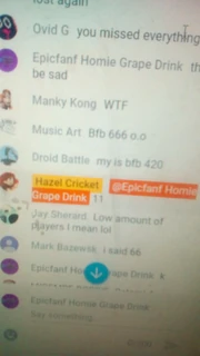 Satomi Hinatsu | Battle for Dream Island Wiki | Fandom