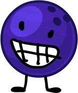 Ball (species) | Battle for Dream Island Wiki | Fandom